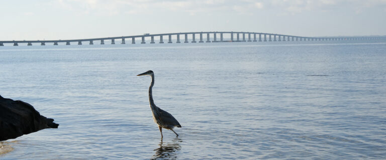 Mid-Bay Bridge | The Quickest Way to Destin